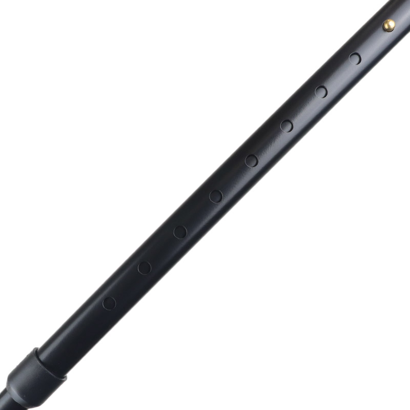 Ossenberg Black Fischer Walking Stick | Health and Care
