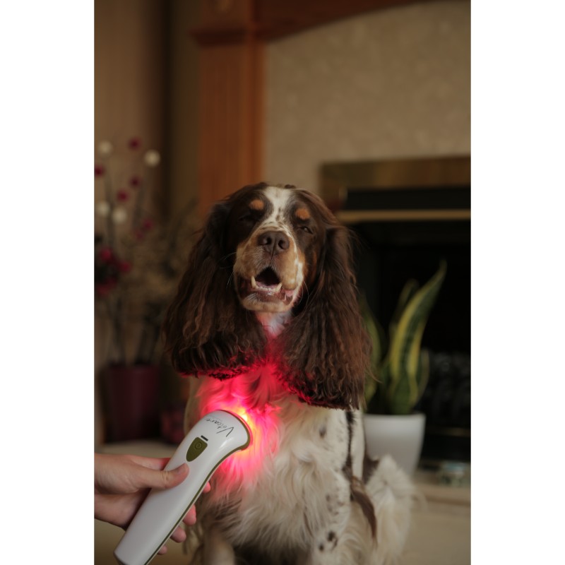 Photizo Vetcare Red-Light Therapy Device | Health and Care