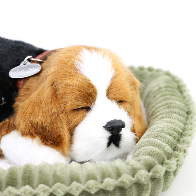 Precious Petzzz Beagle Battery Toy Dog | Health and Care