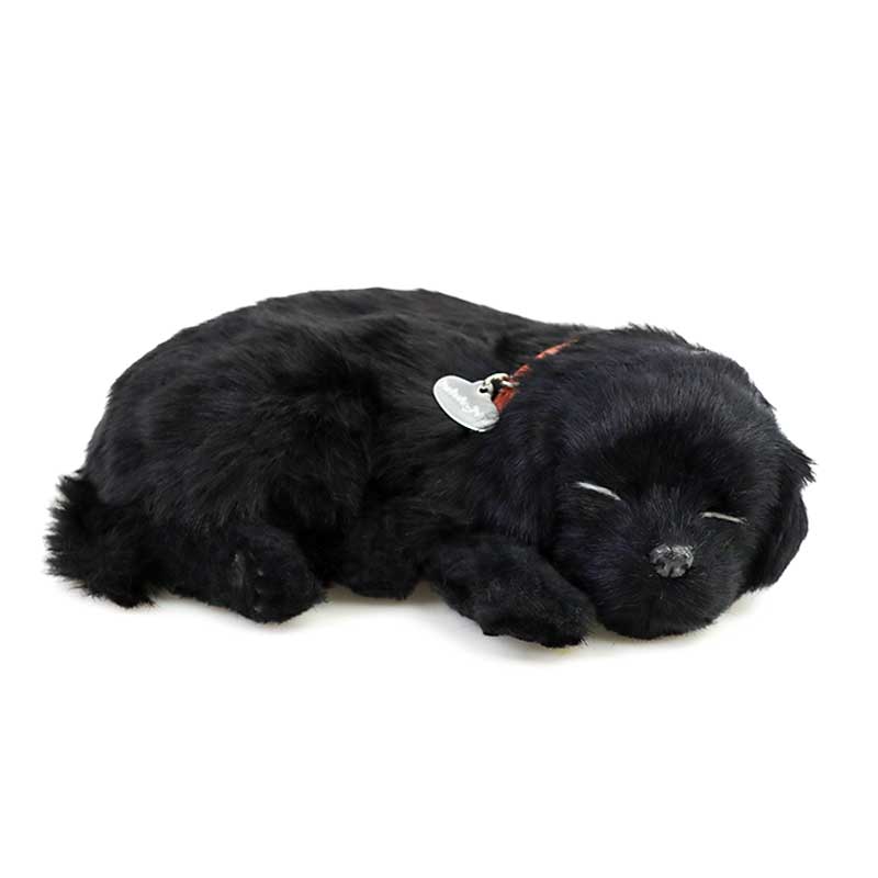 Precious Petzzz Labrador Battery Toy Dog | Health and Care