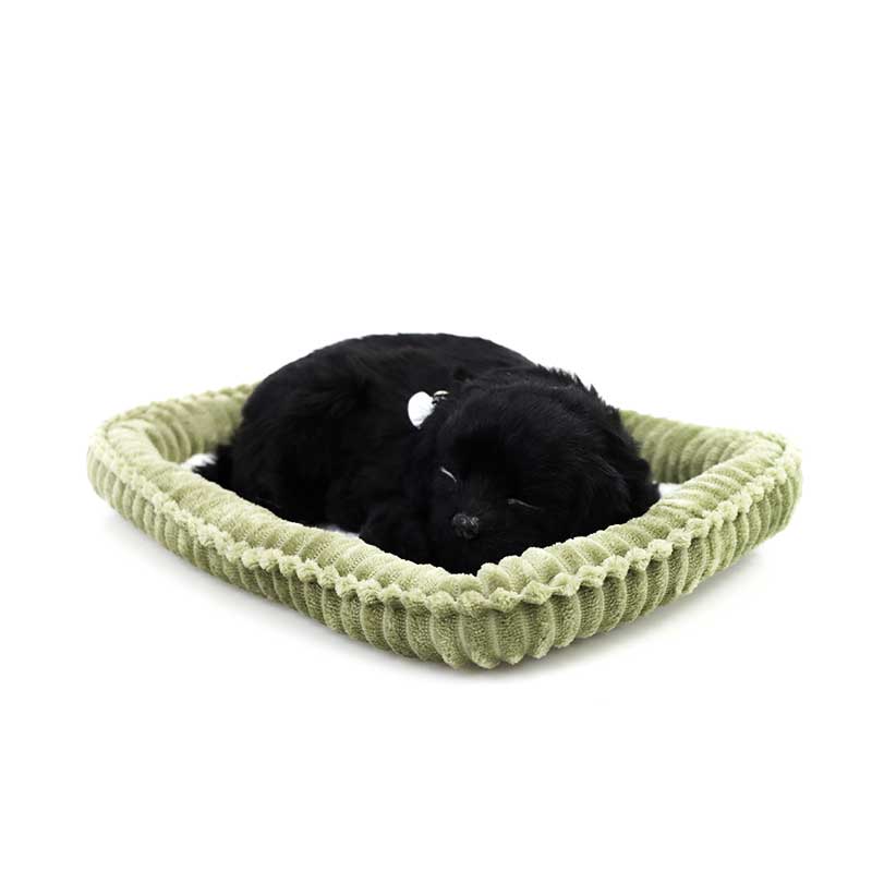 Precious Petzzz Labrador Battery Toy Dog | Health and Care