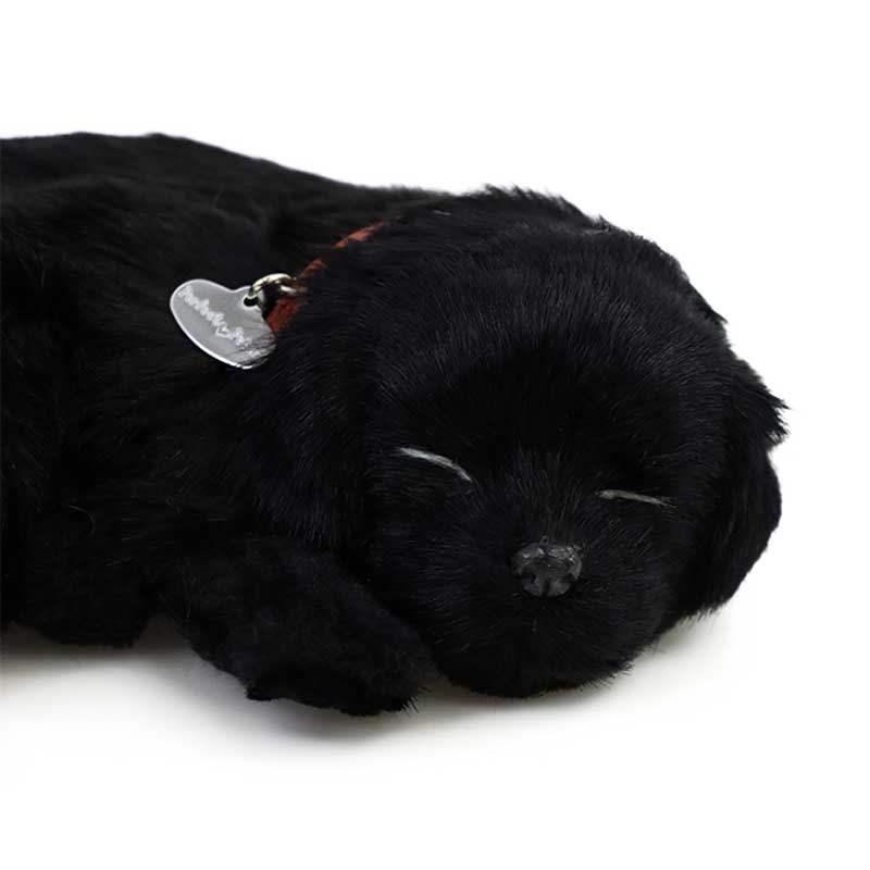 Precious Petzzz Labrador Battery Toy Dog | Health and Care