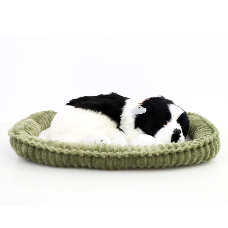 Precious Petzzz Border Collie Battery Dog | Health and Care
