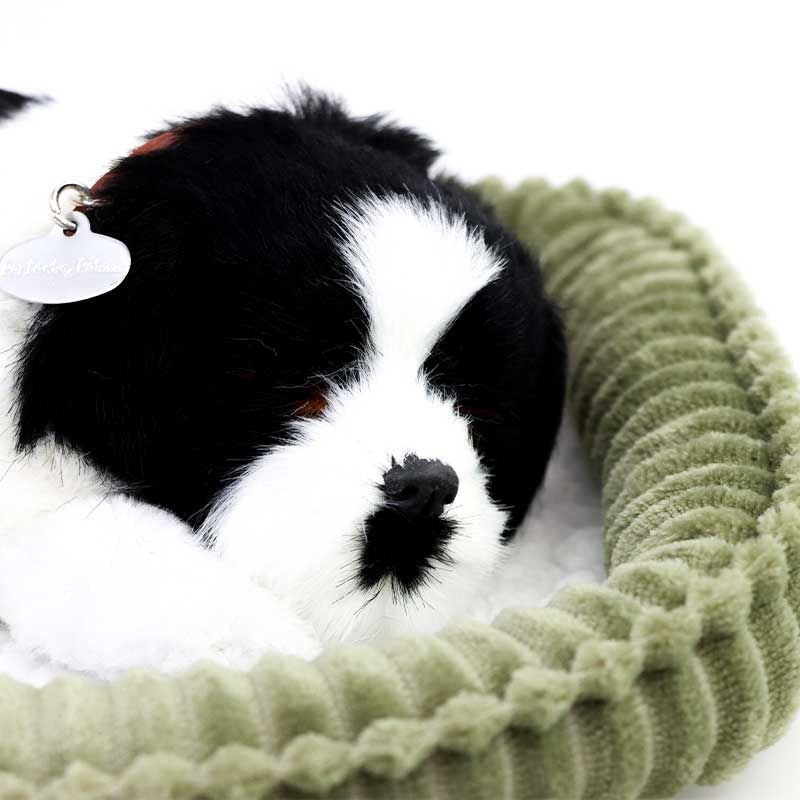 Precious Petzzz Border Collie Battery Dog | Health and Care