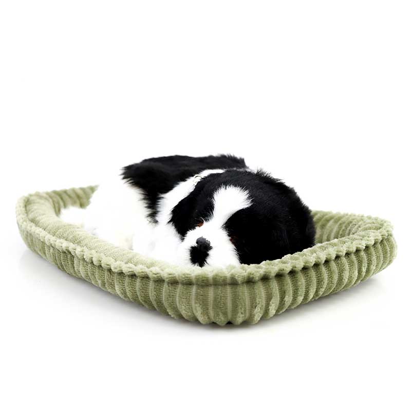 Precious Petzzz Border Collie Battery Dog | Health and Care