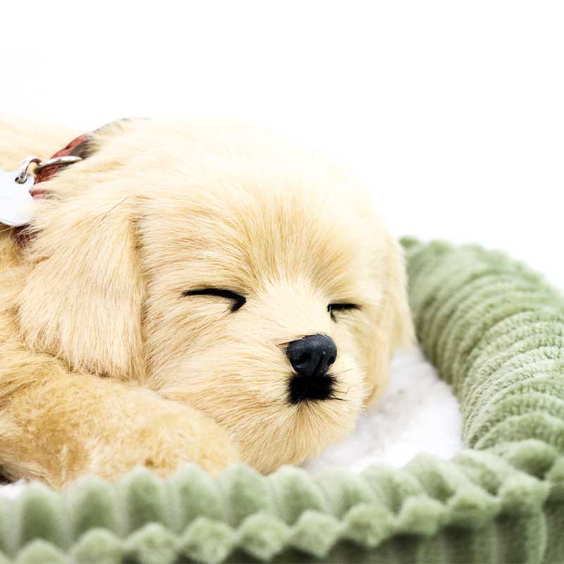 Precious Petzzz Golden Retriever Toy Dog | Health and Care