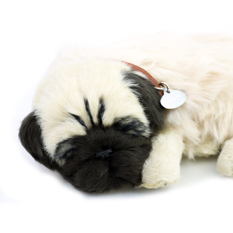 Precious Petzzz Pug Battery Operated Dog | Health and Care