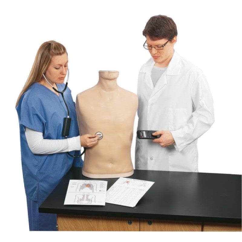 Auscultation Simulator | Health and Care