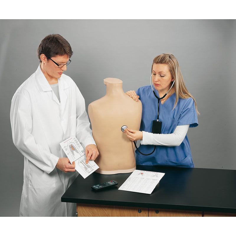 Auscultation Simulator | Health and Care