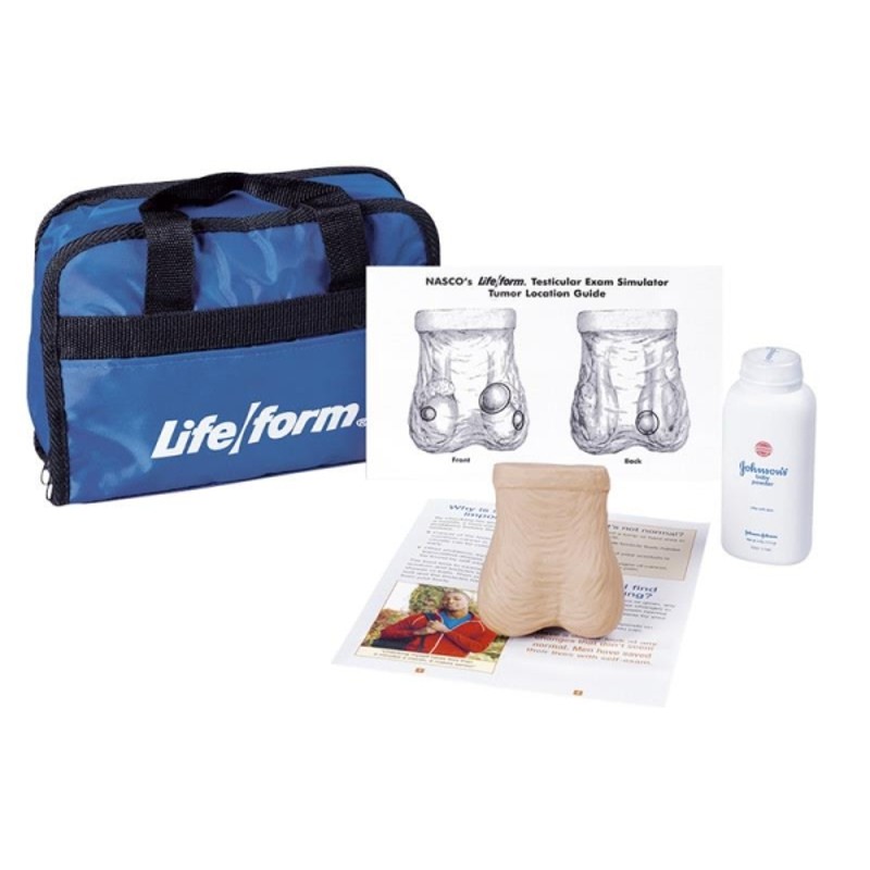 Testicle Self Examination Trainer Kit | Health and Care