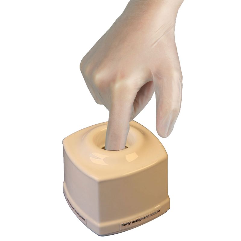 Prostate Exam Simulator
