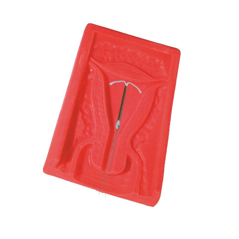 IUD Trainer Model | Health and Care