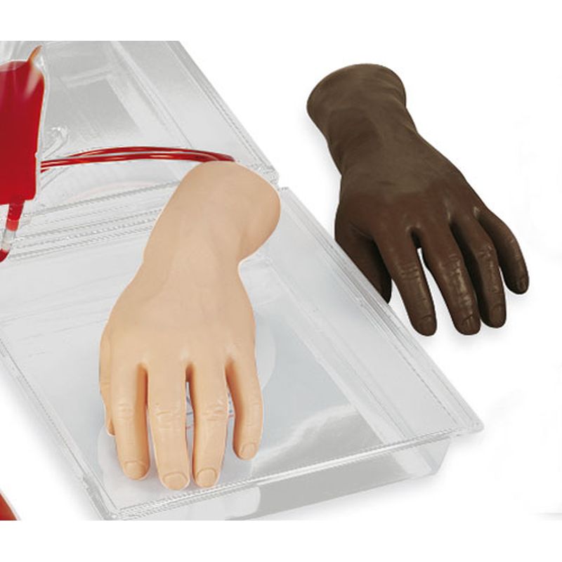 Portable IV Arm and Hand Trainer | Health and Care