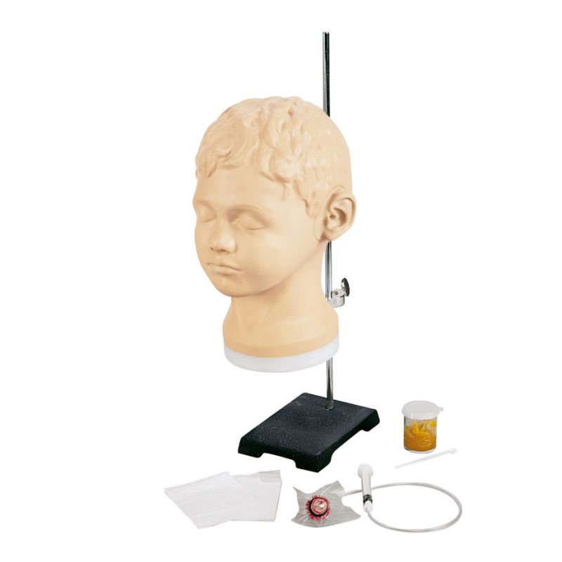 Diagnostic and Procedural Ear trainer | Health and Care