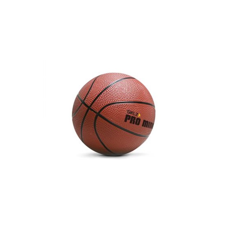 SKLZ Pro Mini XL Basketball Hoop and Ball | Health and Care