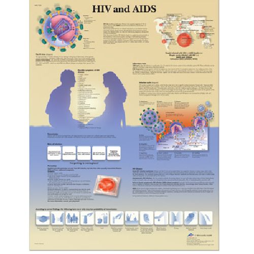 HIV And AIDS Chart | Health and Care