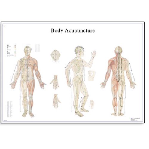 Body Acupuncture Chart | Health and Care