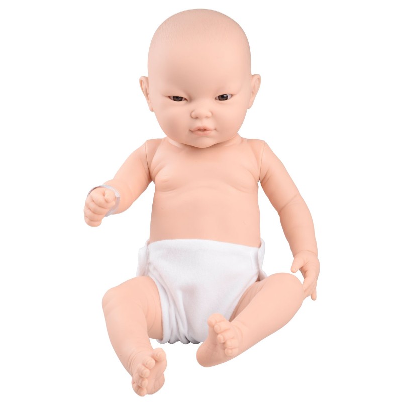 3B Scientific Baby Care Model (Male Asian) | Health and Care