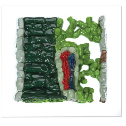 Relief Model Of Leaf Structure | Health and Care