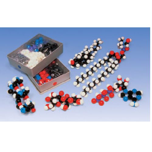 Biochemistry Teacher Set - Compact Models | Health and Care