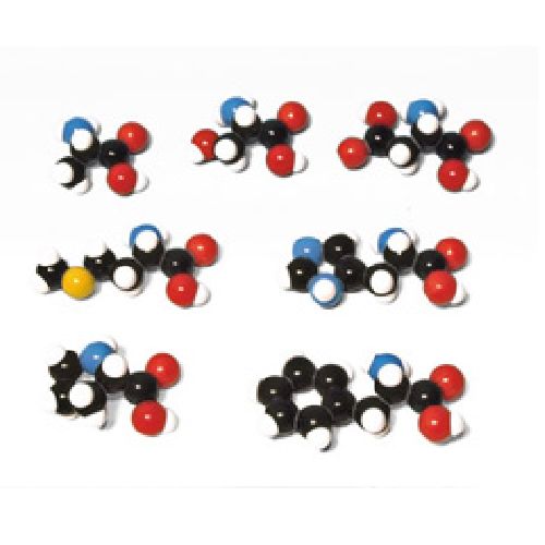 Amino Acid 7 Model Collection Kit Including Peptide Bond Upgrade ...