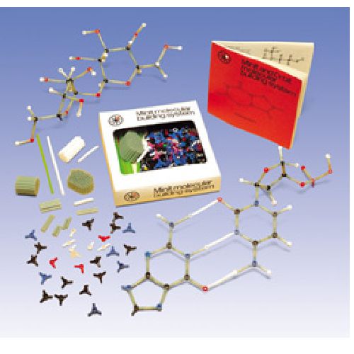 Student-Set - Biochemistry | Health and Care