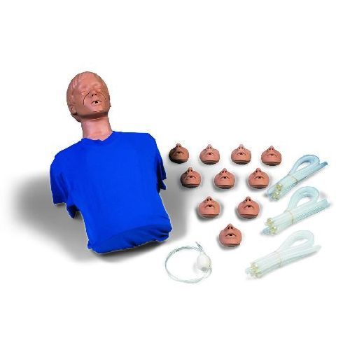 Cpr Torso | Health and Care