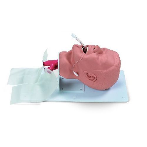 Economy Adult Airway Management Trainer | Health and Care