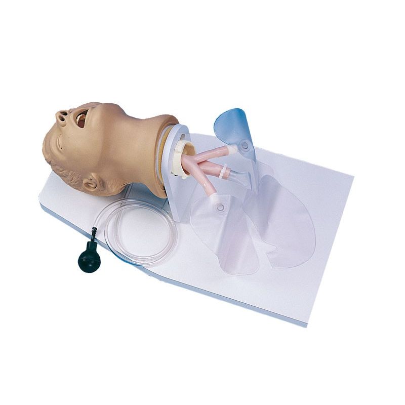 Adult Intubation Head | Health and Care