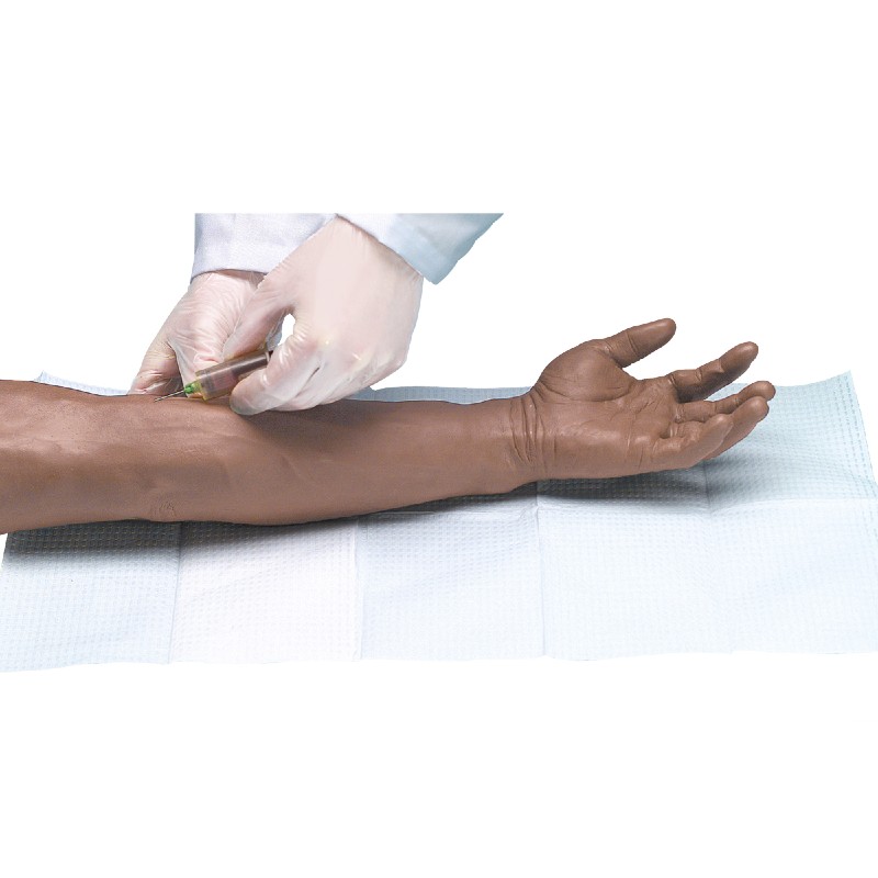 Advanced Venipuncture and Injection Arm Trainer | Health and Care
