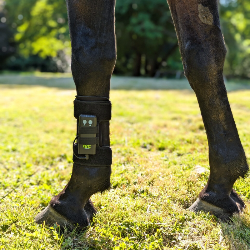 ArcEquine Microcurrent Therapy Kit for Horses | Health and Care