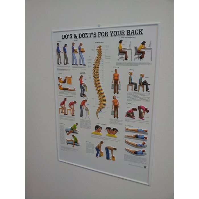 3D Back Care Poster | Health and Care