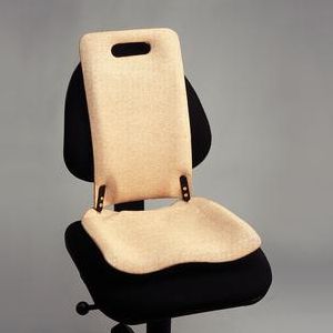 Backfriend Back Support | Health and Care