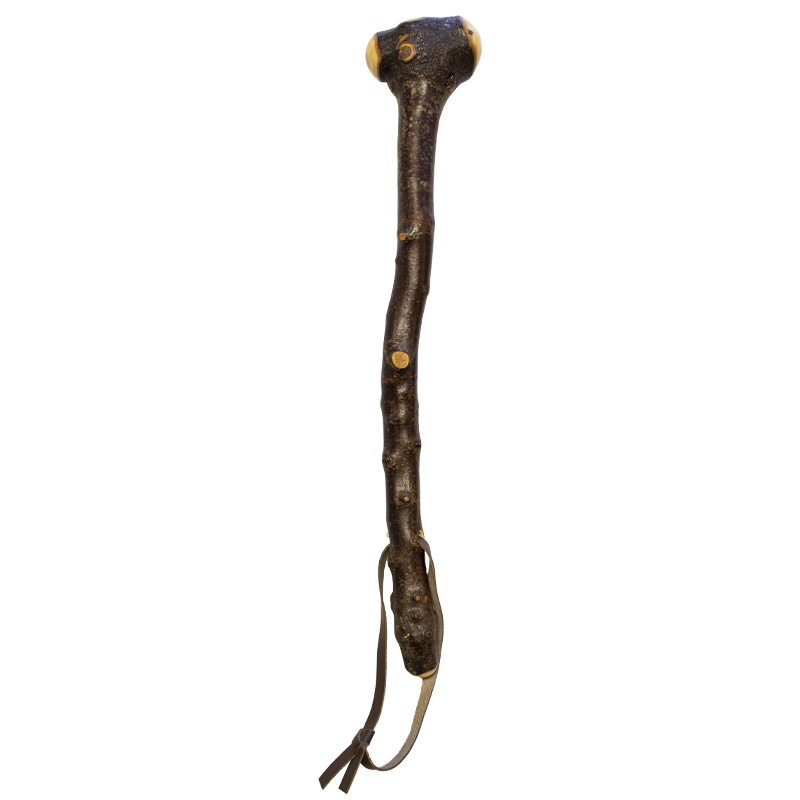 Blackthorn Irish Shillelagh | Health and Care