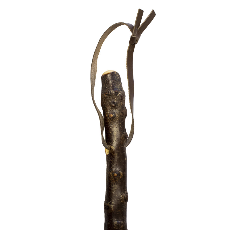 Blackthorn Irish Shillelagh | Health and Care