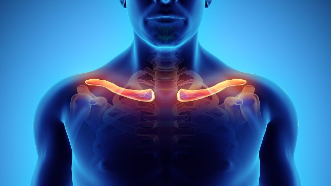 Jura Clavicle Brace | Health and Care