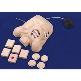 Chest Tube Manikin | Health and Care