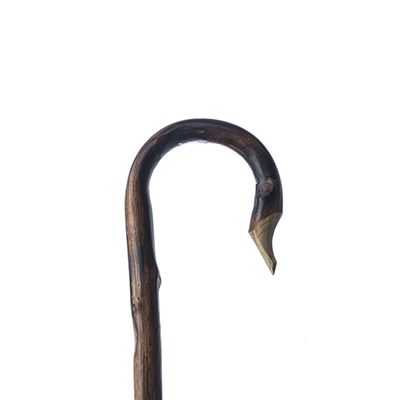 Chestnut Shepherd's Crook | Health and Care