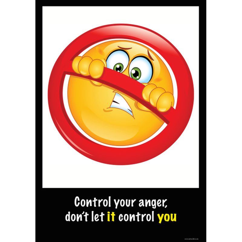 My Angry Face Consequences of Anger Posters (Set of 10) | Health and Care