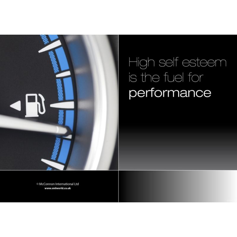 Feeling Valued Motivational Poster Pack | Health and Care