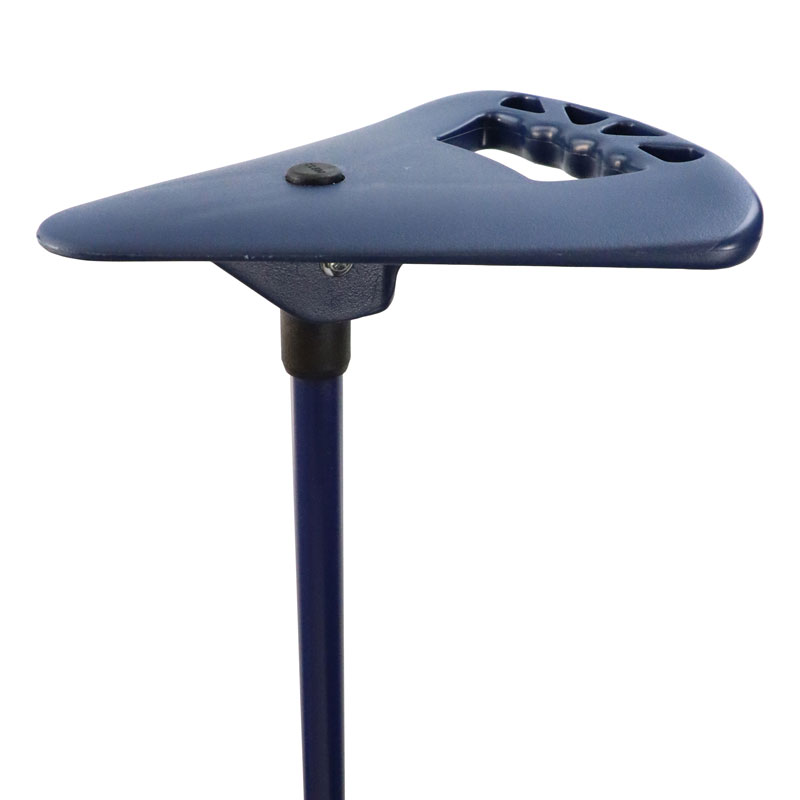 Flipstick Blue Adjustable Seat Stick | Health and Care