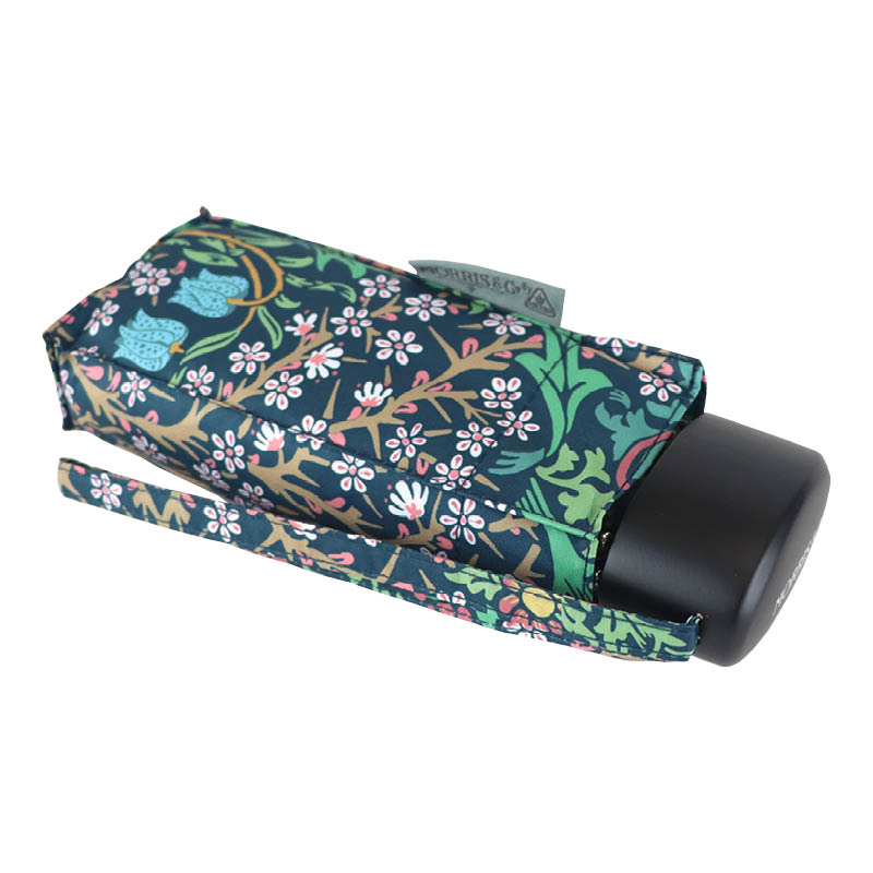 Fulton Tiny 2 Umbrella (Blackthorn) | Health and Care