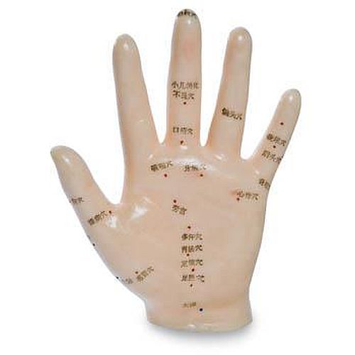 Hand Acupuncture Model | Health and Care