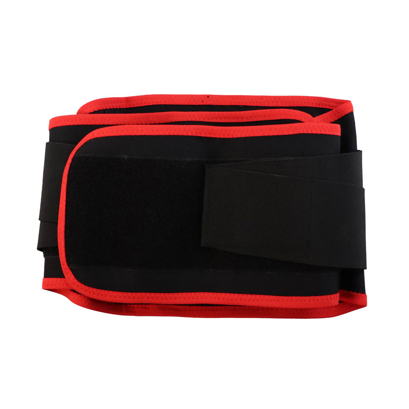 Harley Power Plus Back Support Belt | Health and Care