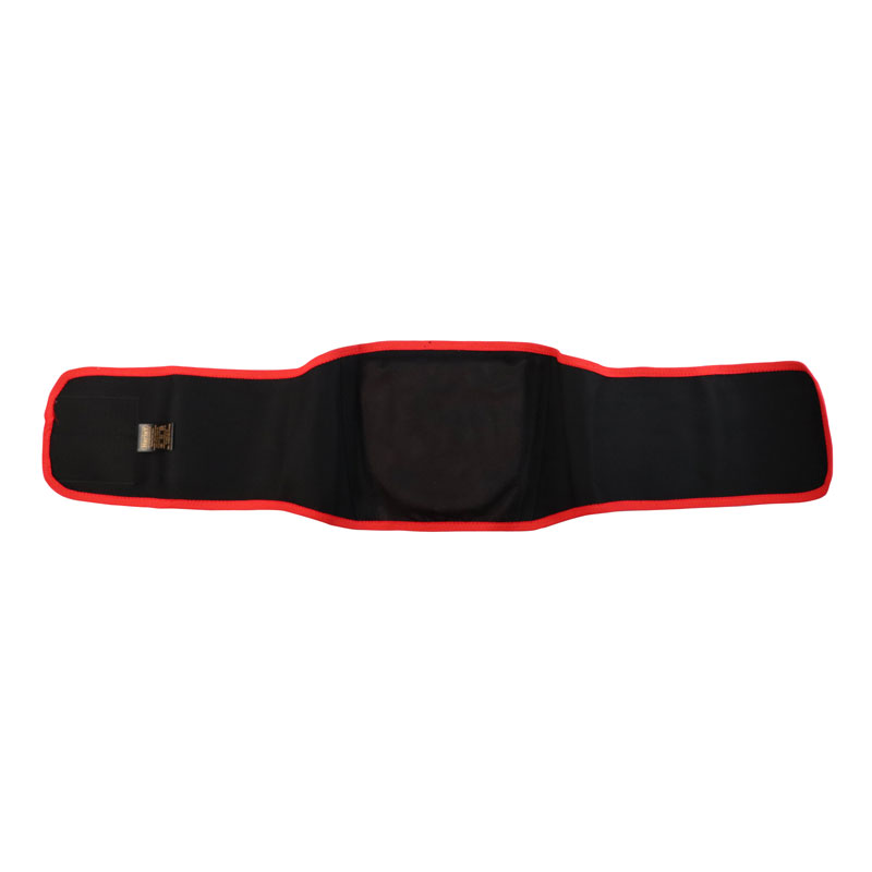 Harley Power Plus Back Support Belt | Health and Care
