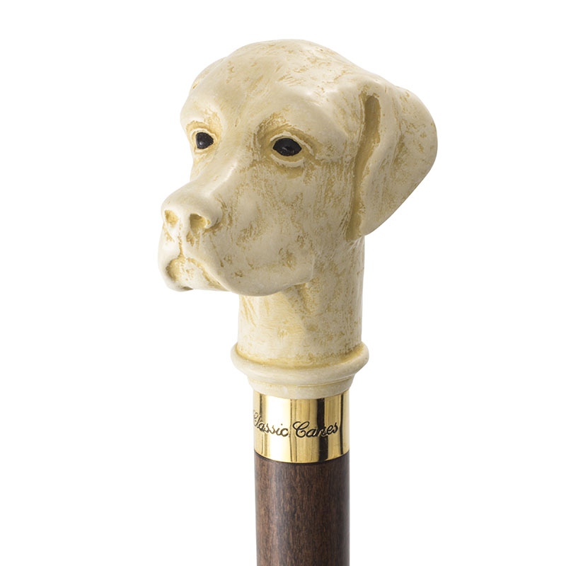 Imitation Ivory Labrador Hardwood Cane | Health and Care
