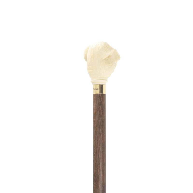 Imitation Ivory Pig Hardwood Cane | Health and Care