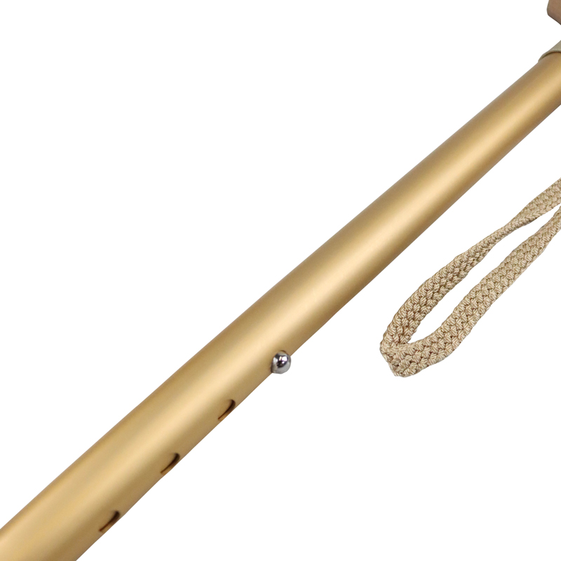 Metallic Gold Lightweight Walking Stick | Health and Care