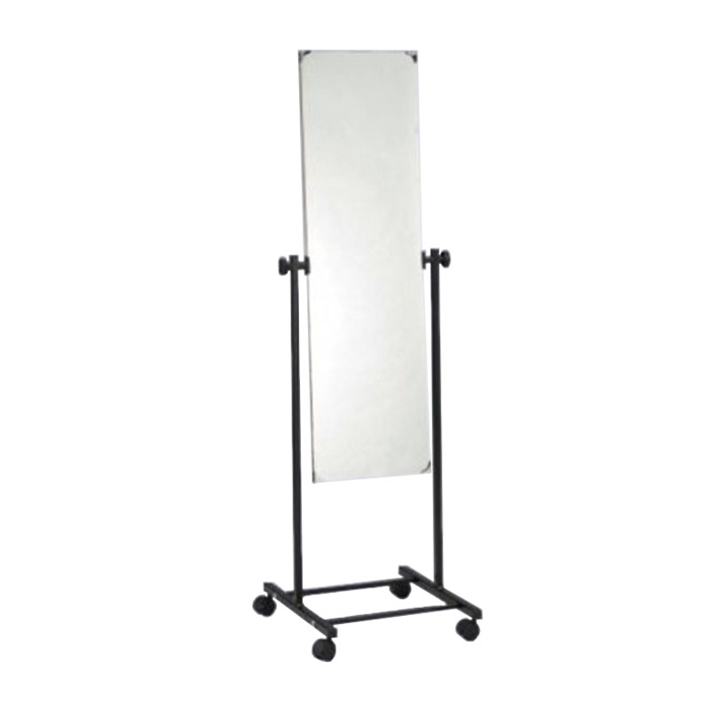 Mobile Postural Training Mirror | Health and Care