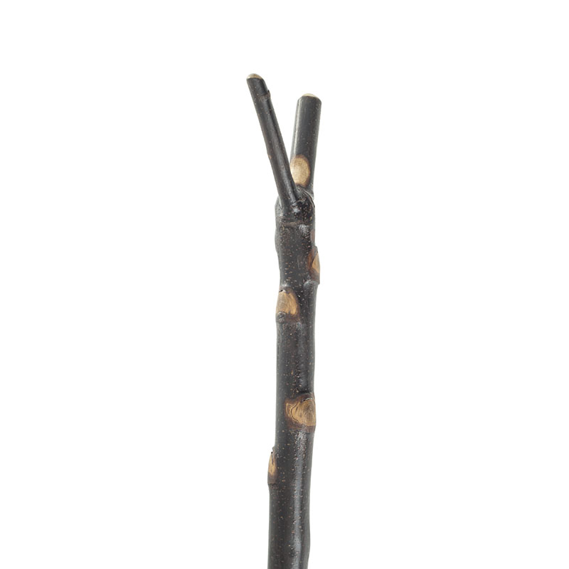Natural Bark Finish Chestnut Thumbstick Hiking Stick | Health and Care